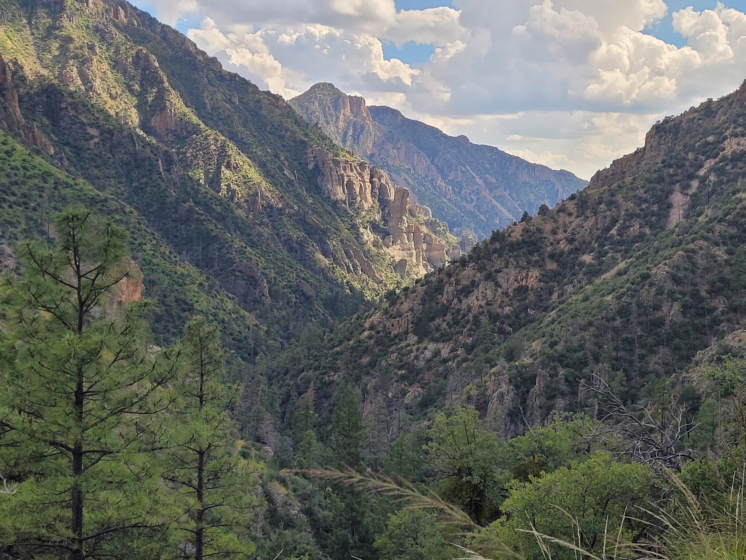 Gila Wilderness | Gila Trails Info